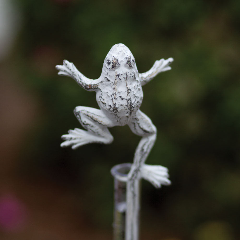 Leapfrog Rain Gauge – Farmabilia