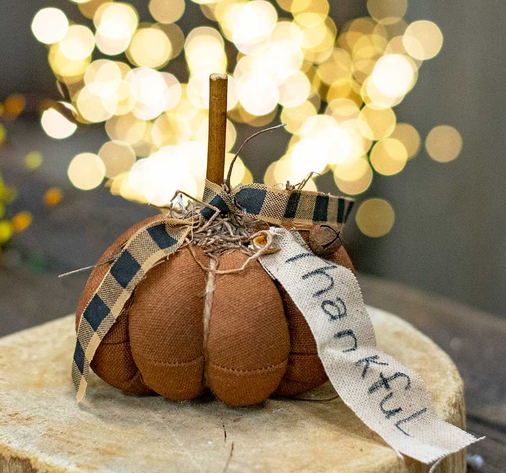 Thankful Pumpkin – Farmabilia